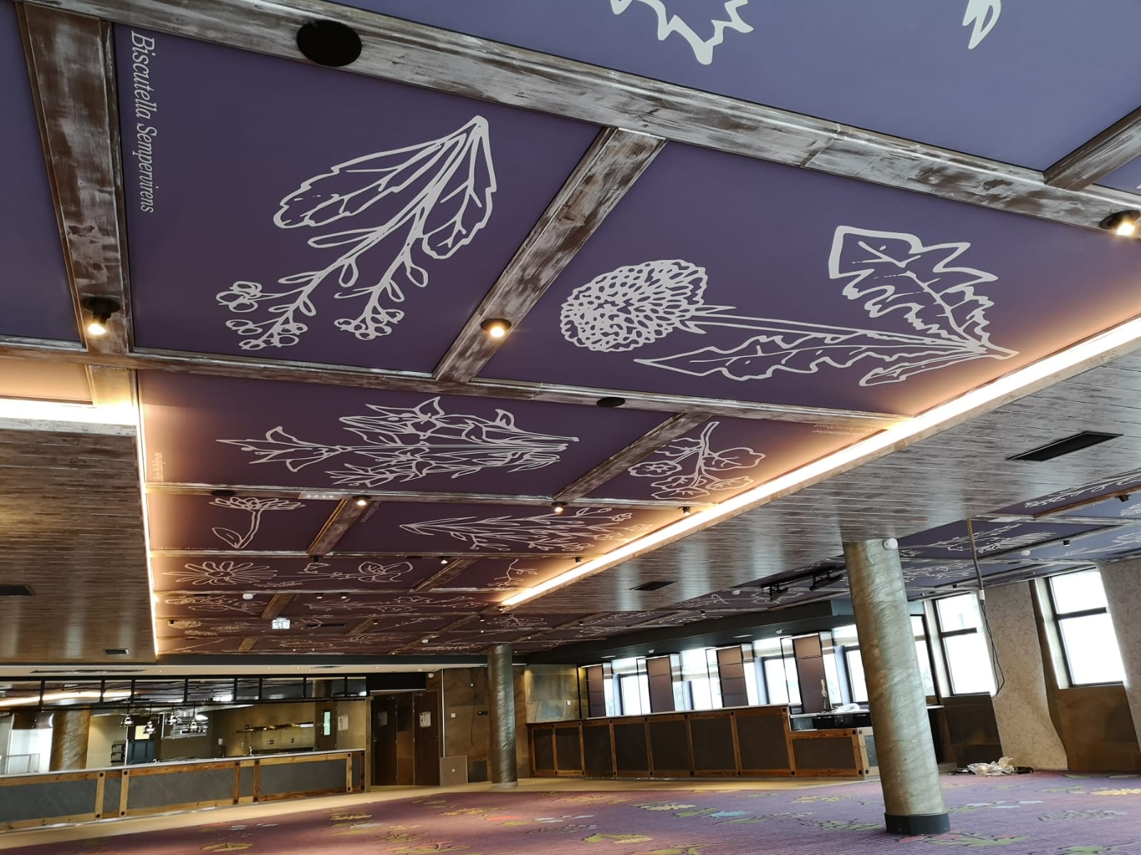 Toile tendu acoustique à Lyon – Spider Design